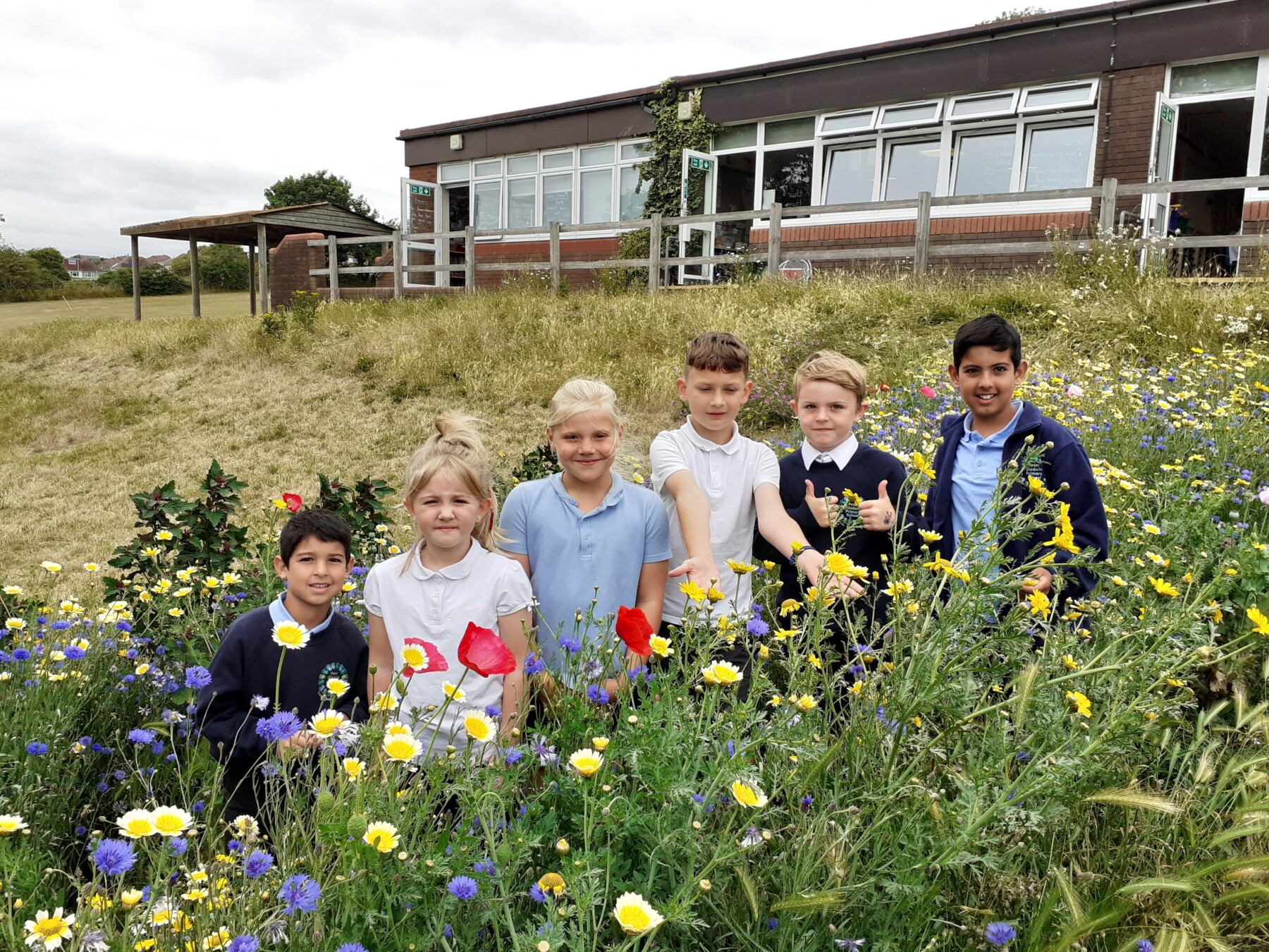 School Ground Development – Our Schools, Our World